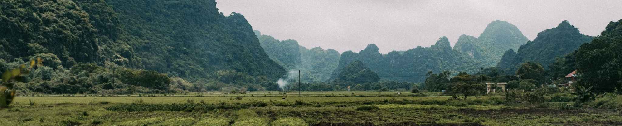 Gratitud a Dios. – Yo Digo, Yo Pregunto